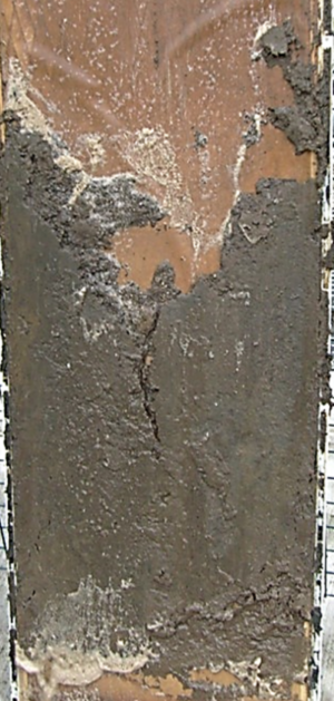 Clogging: sludging and ragging (braiding) | The MBR Site