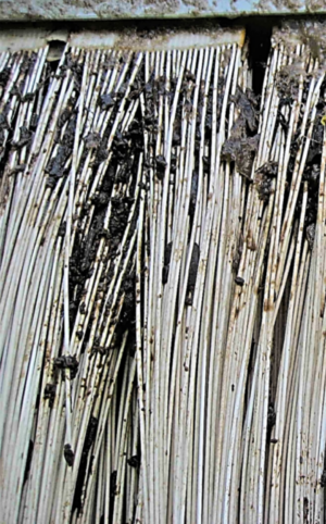 Clogging: sludging and ragging (braiding) | The MBR Site