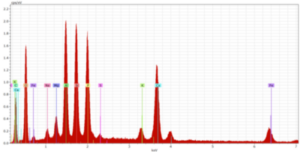 Biochar: the new black gold? | The MBR Site