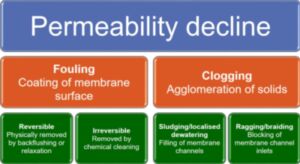 Guest blog: MBR sludge − fouling or clogging? | The MBR Site