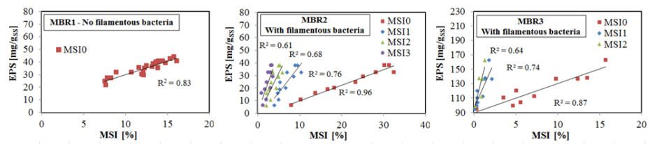 The MBR Site | Foaming in MBRs: measurement and evaluation