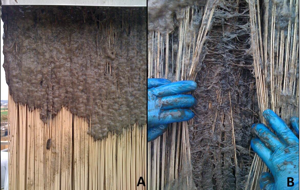 MBR challenges | The MBR Site