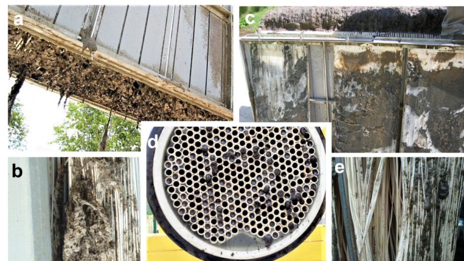 The MBR Site | MBR technology problems and solutions: report from The…