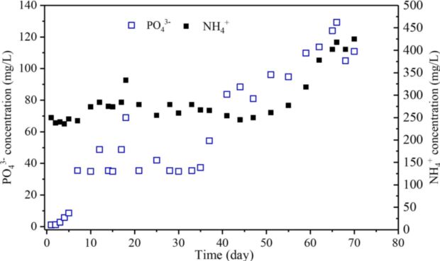 The MBR Site | Sequential anaerobic and microalgal membrane…
