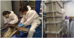 Channel clogging in membrane bioreactors | The MBR Site