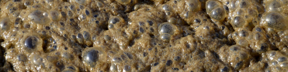 Foaming in membrane bioreactors | The MBR Site