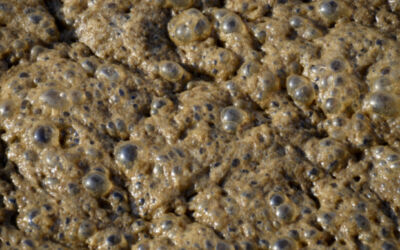 MBR challenges | The MBR Site