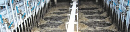 Industrial MBRs − petroleum sector | The MBR Site