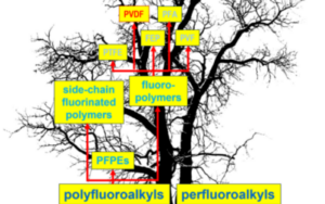 How risky? PVDF membranes, PFAS emissions and… | The MBR Site
