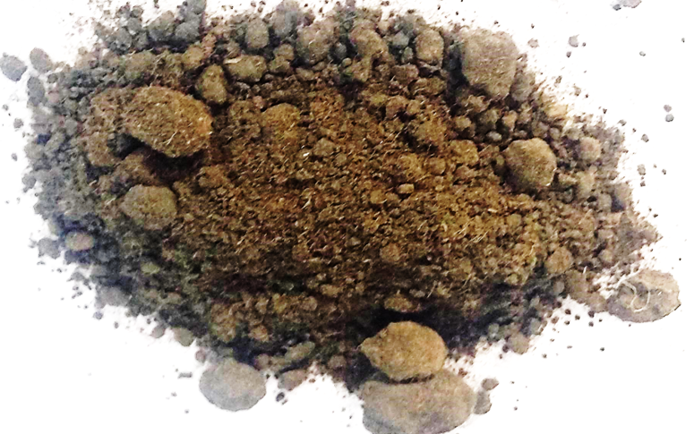 Sludge basics | The MBR Site