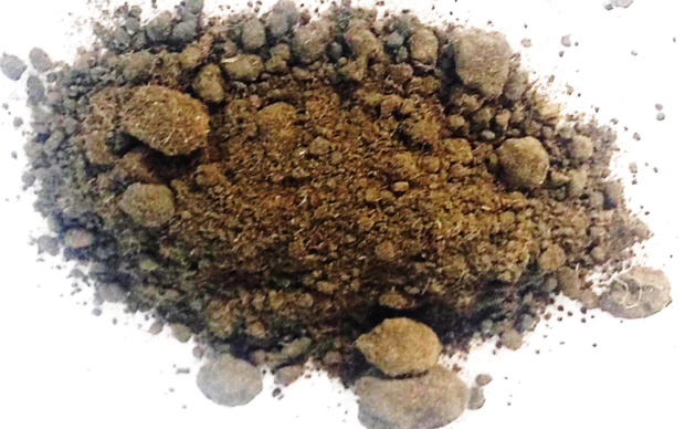 Sludge basics | The MBR Site