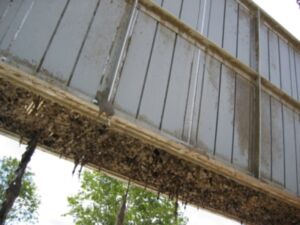 From rags to hitches: clogging by rag reconstitution… | The MBR Site
