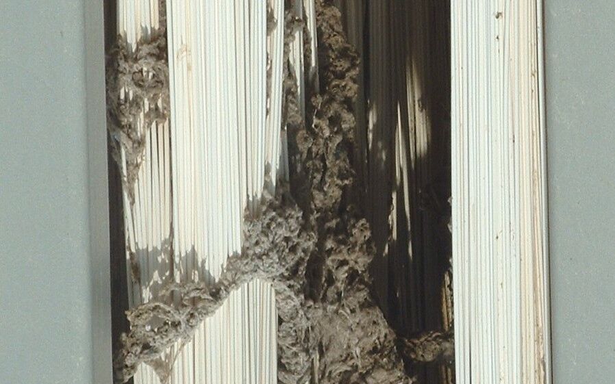 Introduction to sludge drying | The MBR Site