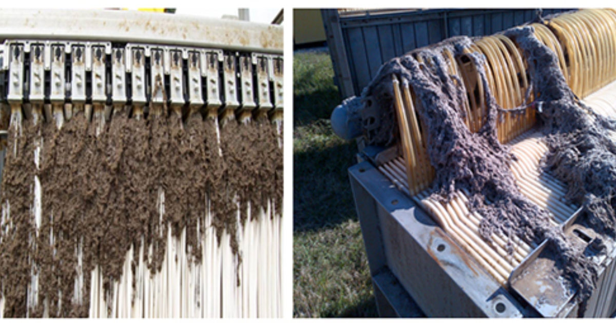 MBR Screening: designs and performance | The MBR Site