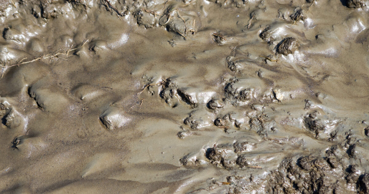 When MBR sludge goes bad | The MBR Site
