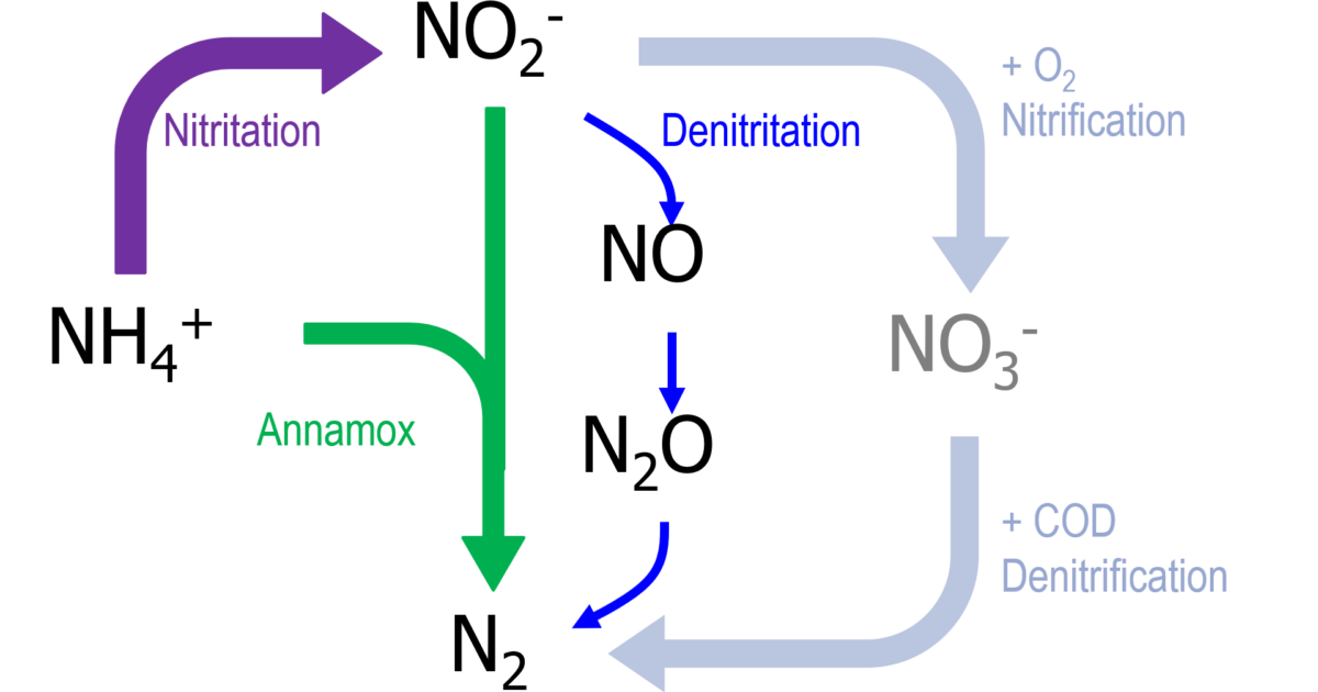 Managing anaerobic digestion supernatant in sludge… | The MBR Site
