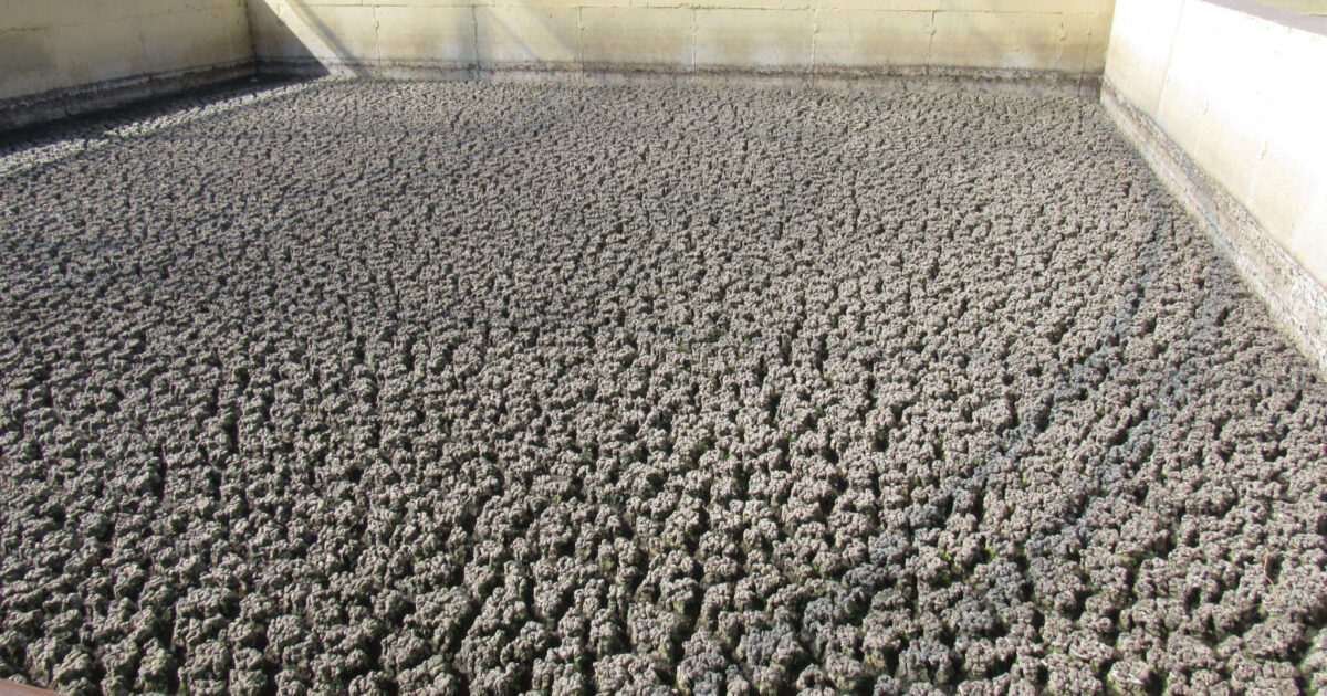 Sludge treatment − lime and solids dosing | The MBR Site